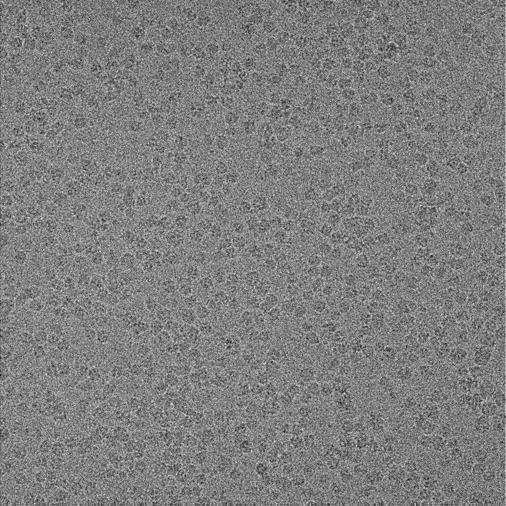 Poor Ctf Fit Using Patch Ctf Estimation In Cryosparc Ctf Estimation