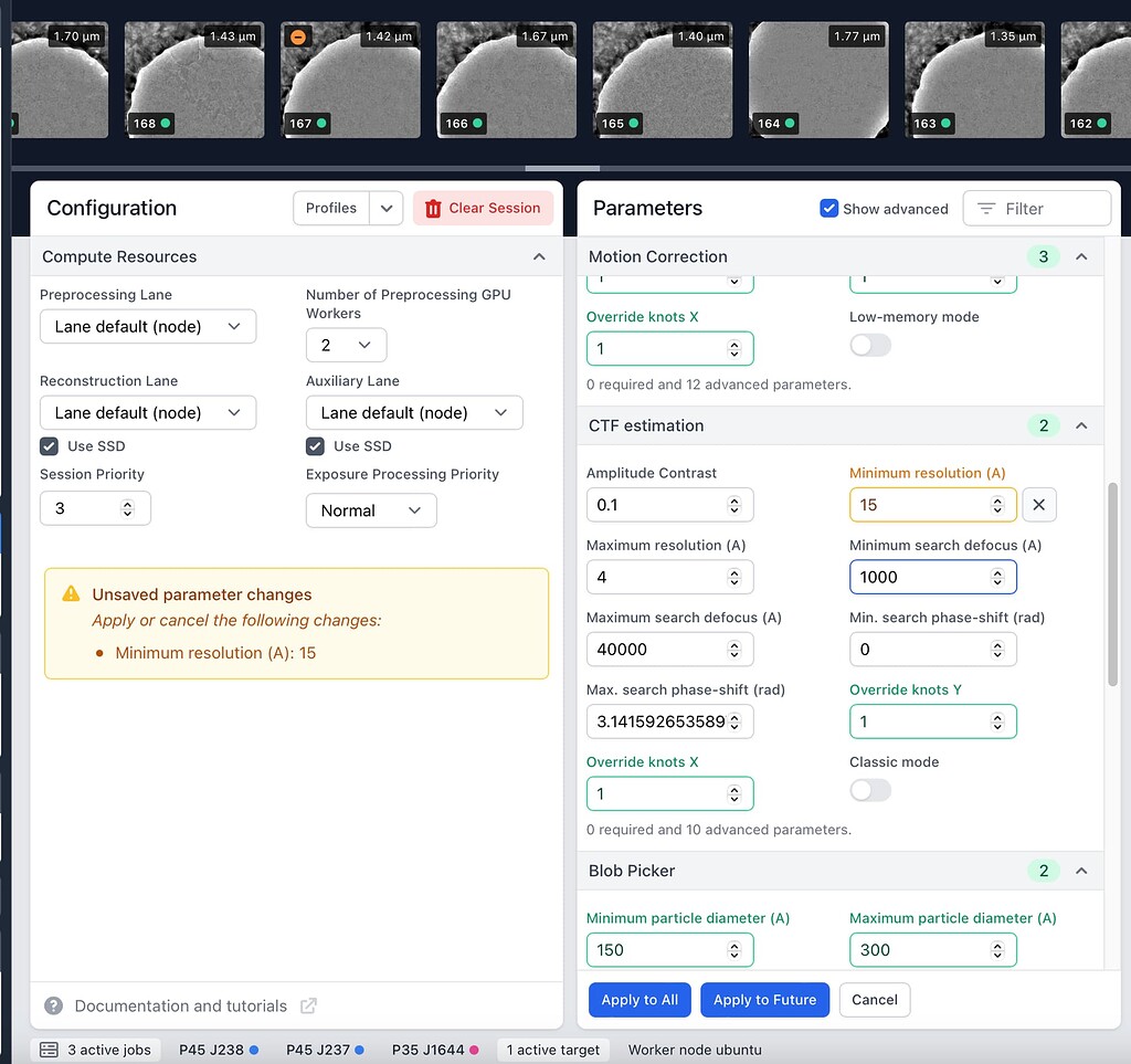 Apply Adjustments To Single Exposure In Live Cryosparc Live Cryosparc Discuss