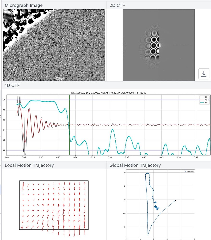 Patch Ctf Weird Results Ctf Estimation Cryosparc Discuss