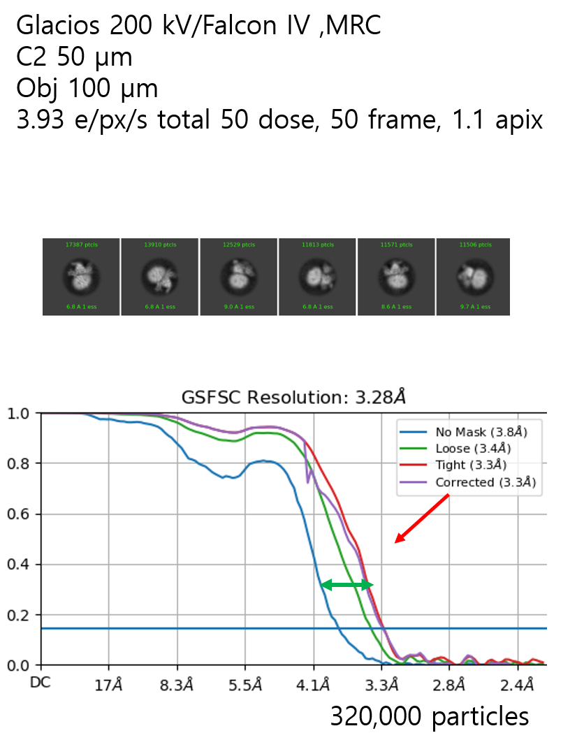Sharp fsc drop in NU refinement - 3D Refinement - CryoSPARC Discuss Sharp fsc drop in NU refinement - 3D Refinement - CryoSPARC Discuss